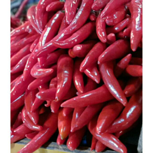 Jual Cabe Merah Besar 500 gram | Shopee Indonesia