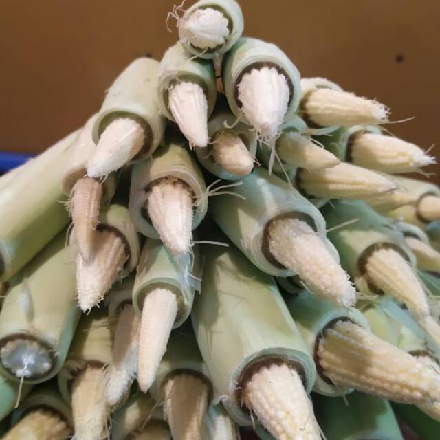 Jual Putren / Jagung Kecil 500 gram | Shopee Indonesia