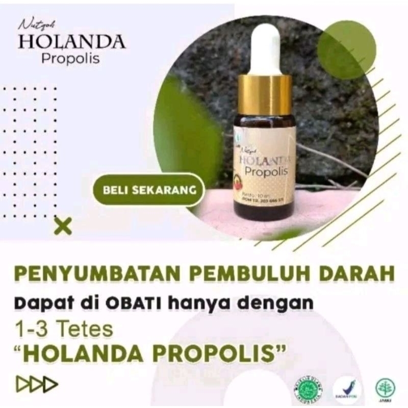 Jual Holanda Propolis Official Store obat kolesterol diabetes ...