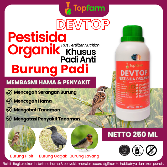 Jual Obat Padi Hama Burung Pipit / Obat Pengusir Burung Pada Padi ...