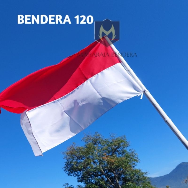 Jual Bendera Merah Putih Plus Tiang Bambu Panjang 150 cm Sangsaka ...