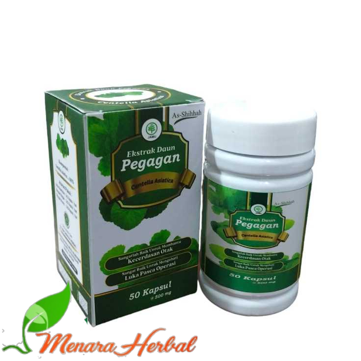 Jual Kapsul Pegagan Ash-shihhah | Ekstrak Daun Pegagan Ash-Shihhah ...