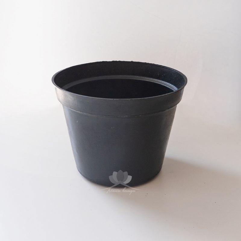 Jual POT PLASTIK HITAM 15 CM | Shopee Indonesia