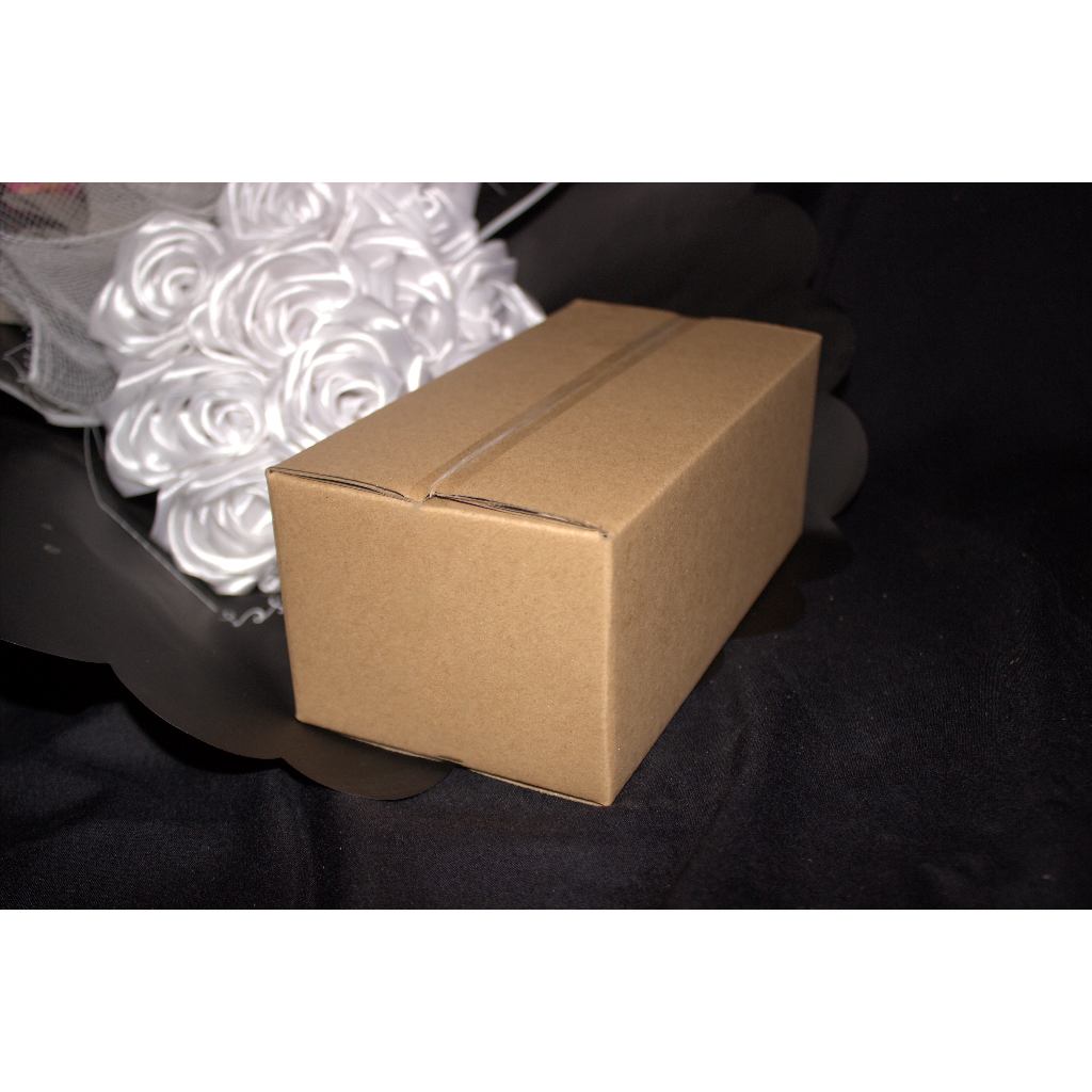 Jual kardus 20x10x8 cm / box packaging / dus packing / serbaguna ...