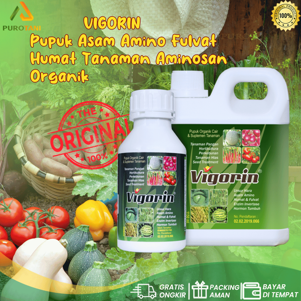 Jual Pupuk Asam Amino Fulvat Humat Tanaman Vigorin Aminosan Organik ...