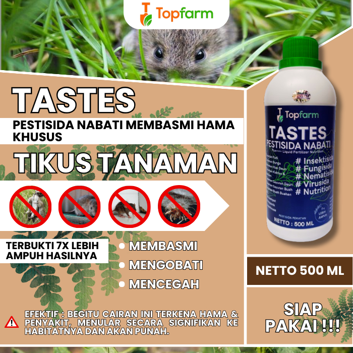 Jual Obat Hama Tikus Sawah Ampuh / Obat Hama Tikus Semprot / Obat Hama ...