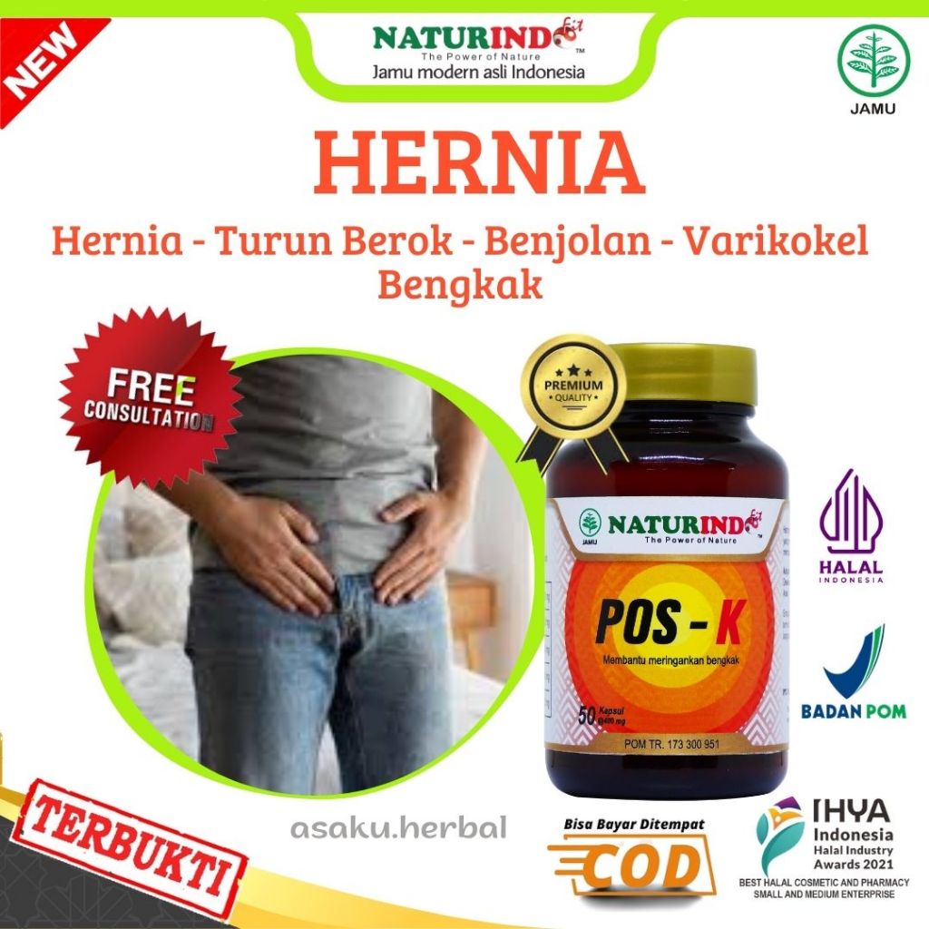 Jual Obat Turun Berok Hernia Varikokel Herbal Hernia Benjolan Varises ...