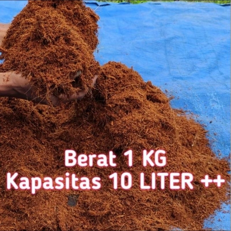 Jual Paket Cocopeat Press 2 kg Kokopit Media Tanam Sabut Kelapa ...