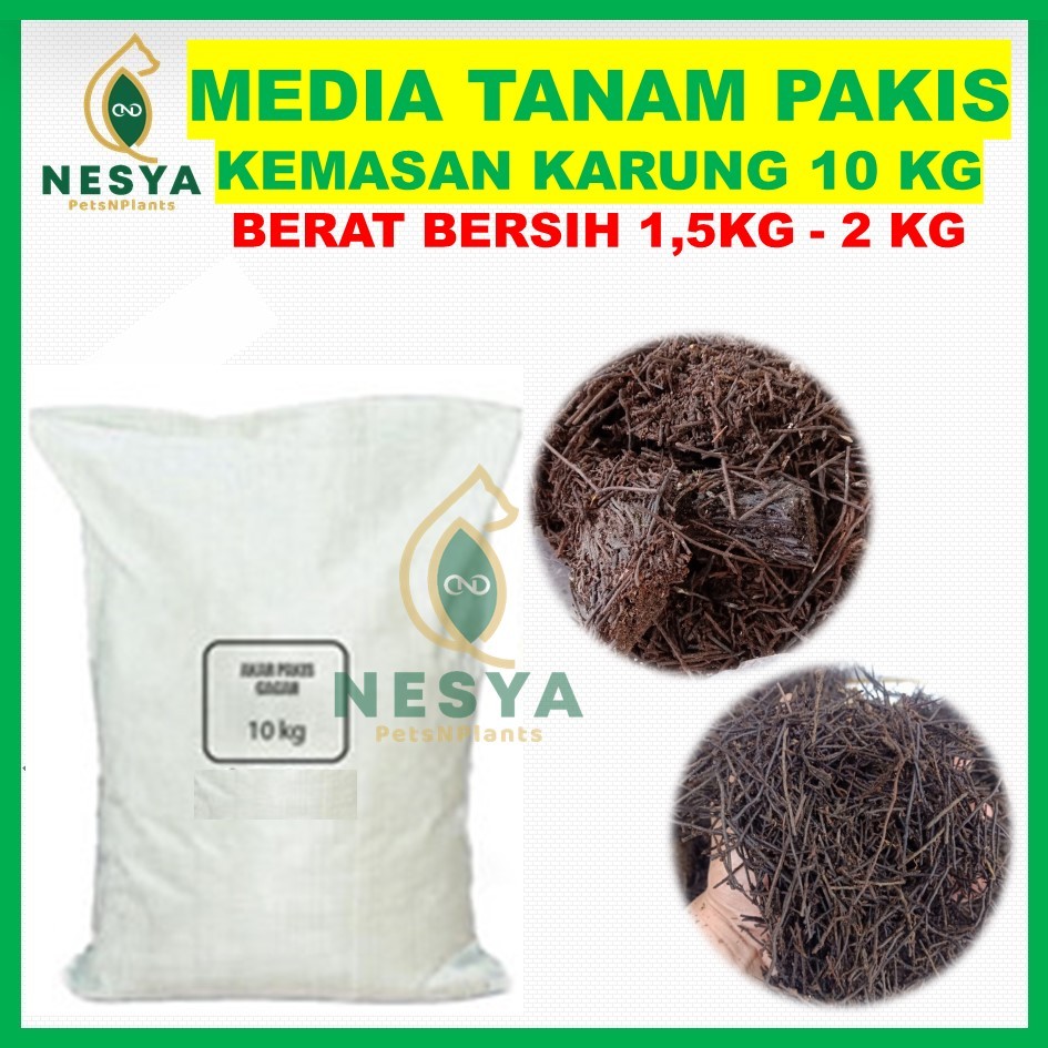 Jual Media Tanam Pakis Cacah Kemasan Karung 10 KG | Shopee Indonesia