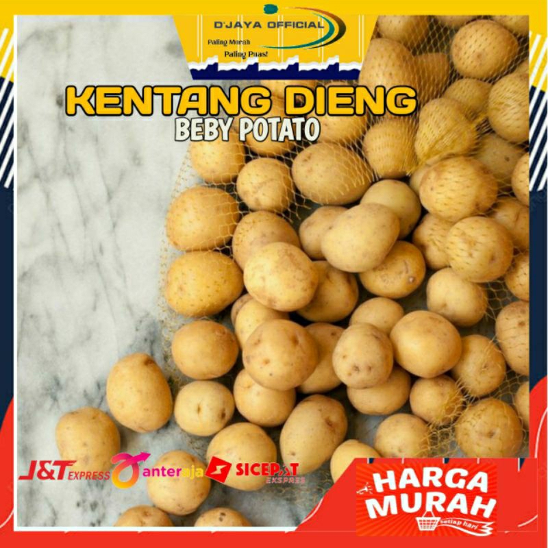 Jual Kentang Dieng Baby Potatto Kentang Rendang Kecil Fresh 1 kg ...