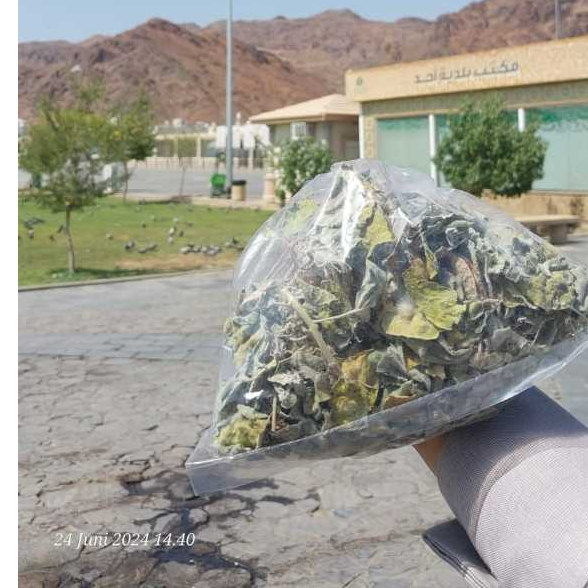 Jual Usybatul Madinah/Nabi Booti for Pregnancy (Herbal promil) | Shopee ...