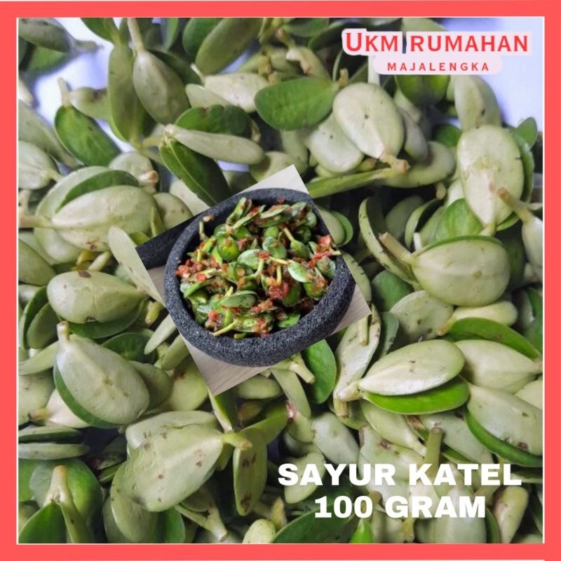 Jual Sayur Daun Katel Majalengka 135gram | Shopee Indonesia