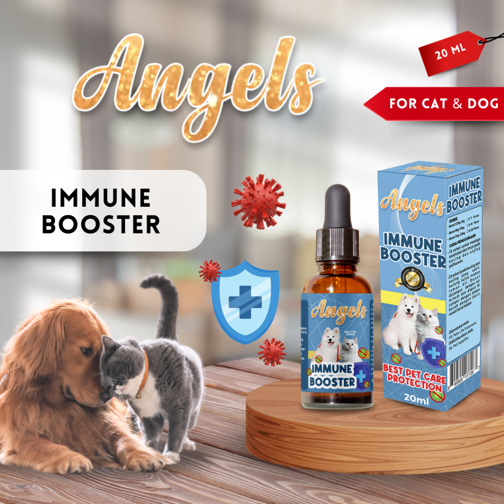 Jual Angels IMMUNE BOOSTER 20ML - Vitamin Peningkat Imunitas Kucing dan ...