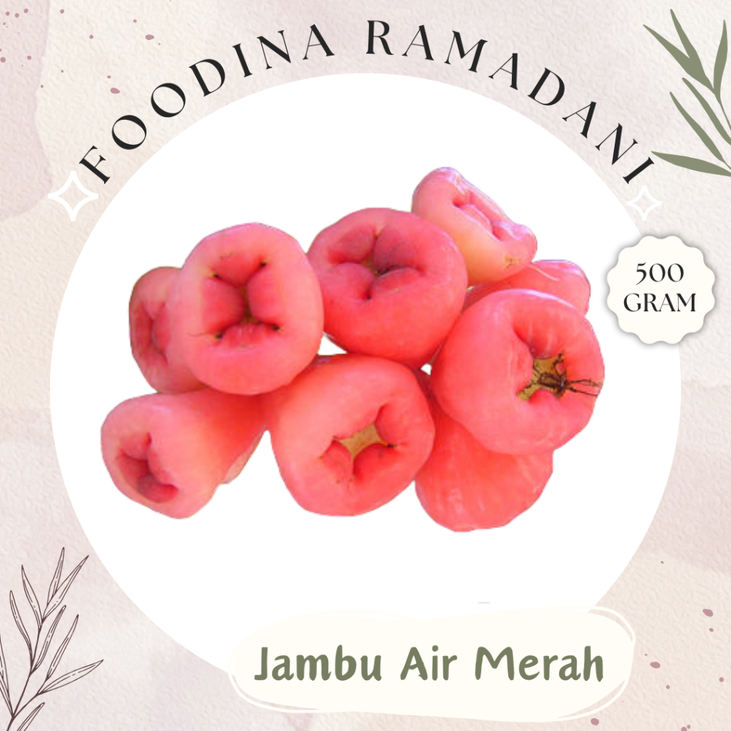 Jual JAMBU Air Merah - Rujak Fresh [ Berat 500gr ] Harga Per 0,5 Kg ...
