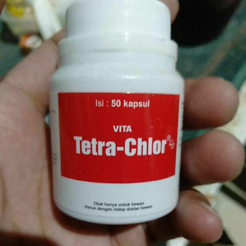 Jual Tetra-Chlor Vita Obat Unggas Ayam Burung Crd Kolera Korisa ...