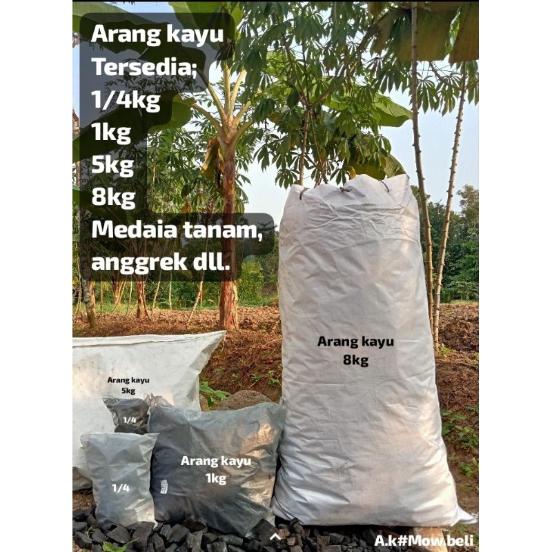 Jual Arang kayu | Shopee Indonesia