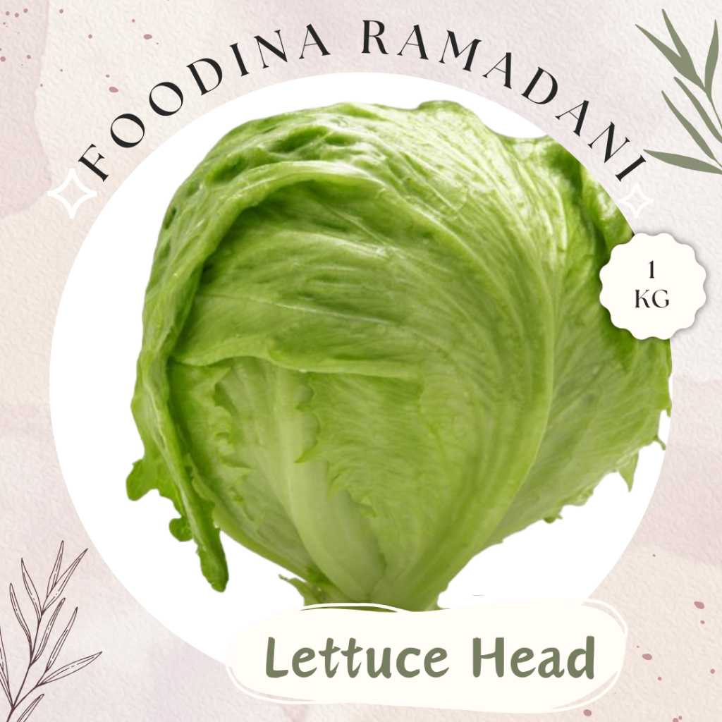 Jual LETTUCE Head - Salada Letus Bulat [ Berat 1.000gr ] Harga Per KG ...