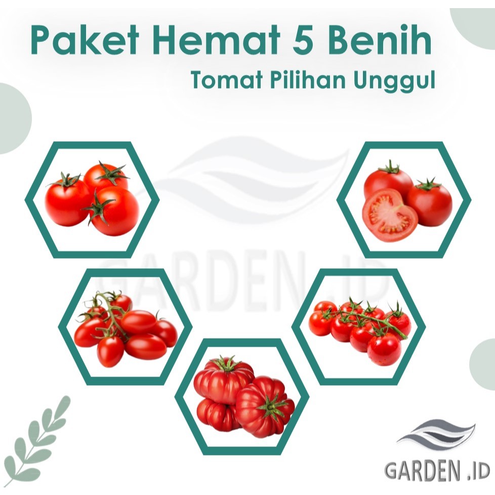 Jual Bibit Tomat Paket 5 Macam Benih Sayur Sayuran Tomat Cherry Unggul ...