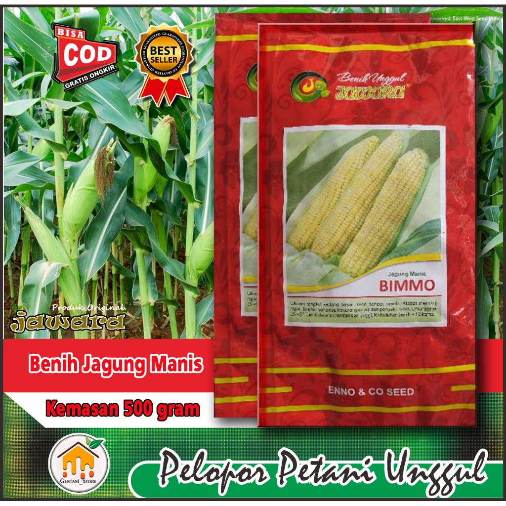 Jual Benih jagung Manis BIMMO Kemasan 500 gram - Produk Original Jawara | Shopee Indonesia