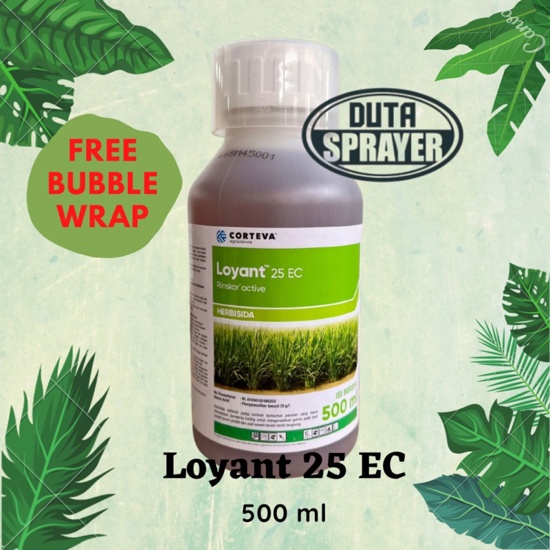 Jual LOYAN 25 EC HERBISIDA CORTEVA 500ML (BELI 3 GRATIS 1) | Shopee ...