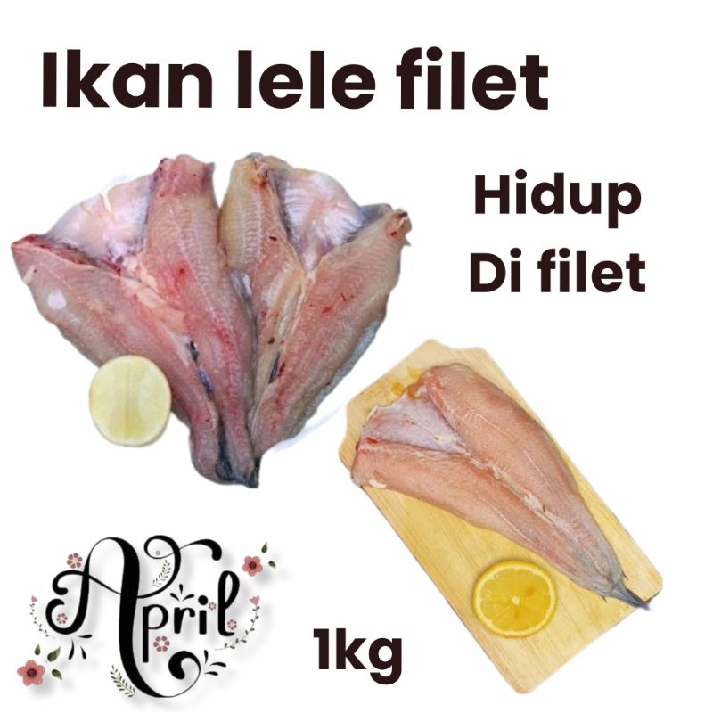 Jual ikan lele filet/hidup 1kg | Shopee Indonesia