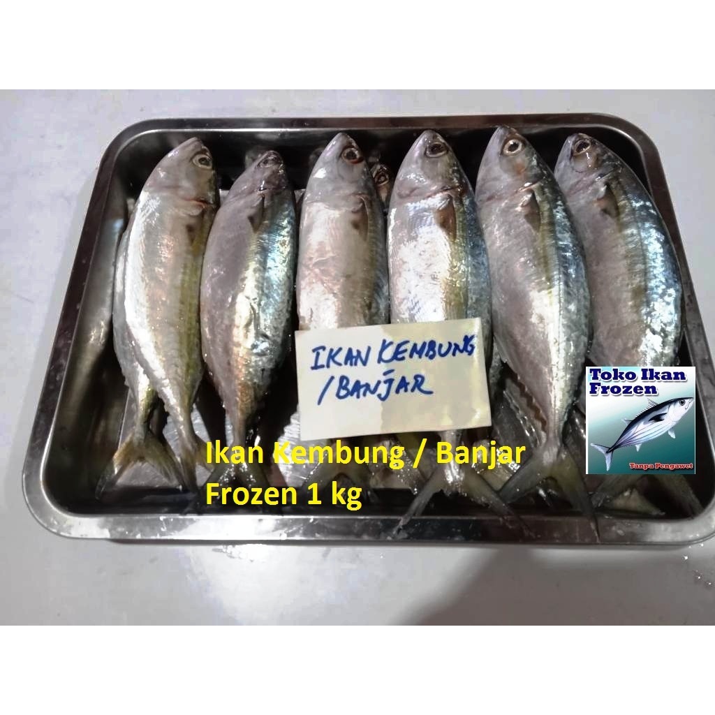 Jual IKAN KEMBUNG / BANJAR / Frozen Fresh / 1 kg | Shopee Indonesia