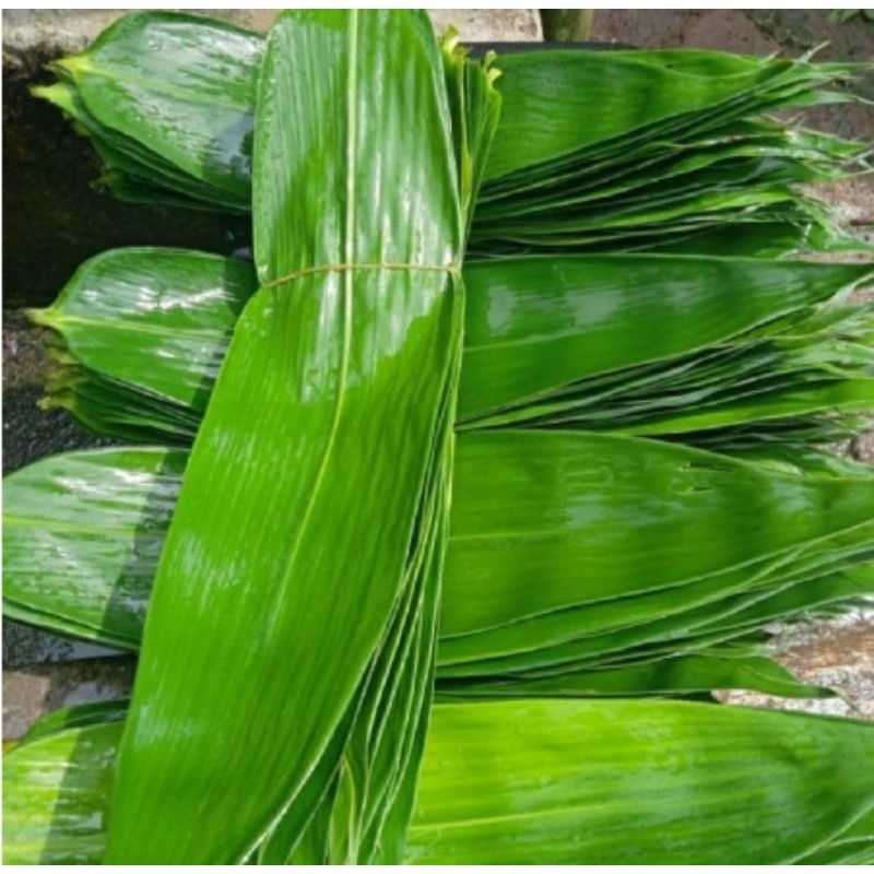 Jual daun bambu untuk bakcang/bacang harga 100 lembar | Shopee Indonesia