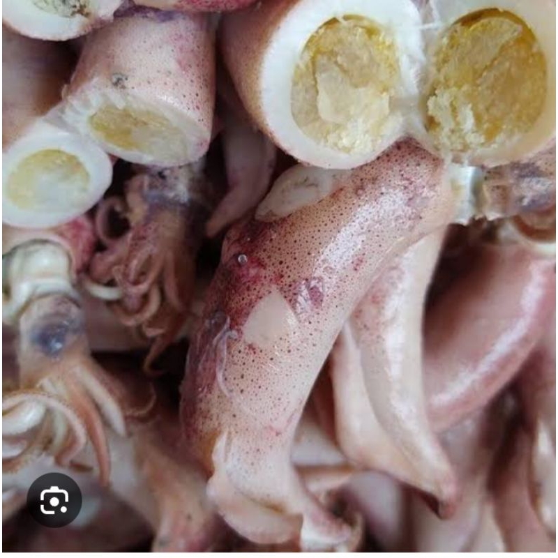 Jual CUMI ASIN TELUR SUPER 1/2KG | Shopee Indonesia
