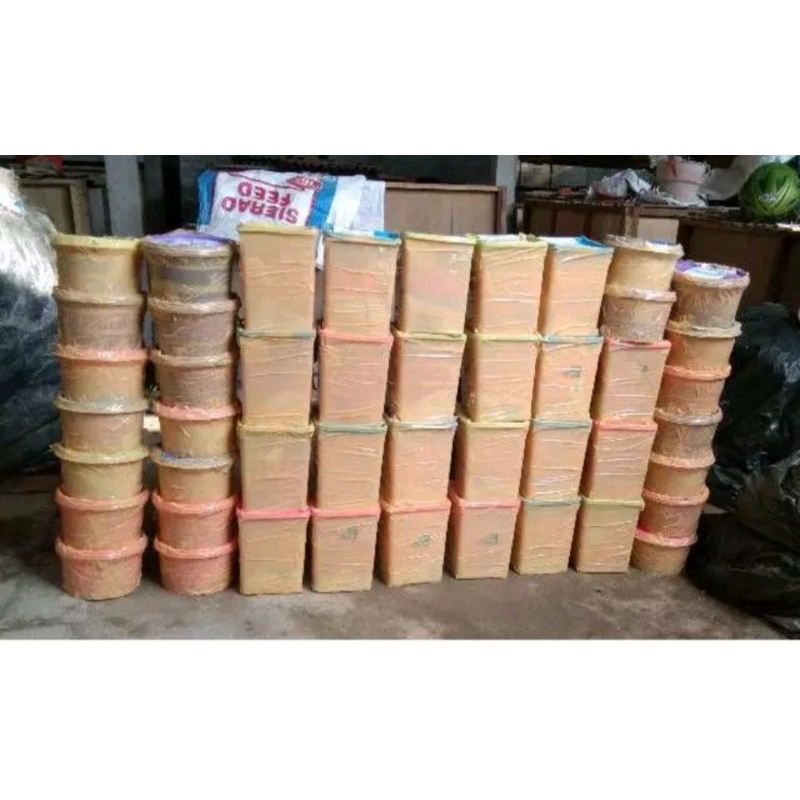 Jual (DIJAMIN FRESH/BKN TANDON )Telur jangkrik alam cliring kualitas ...