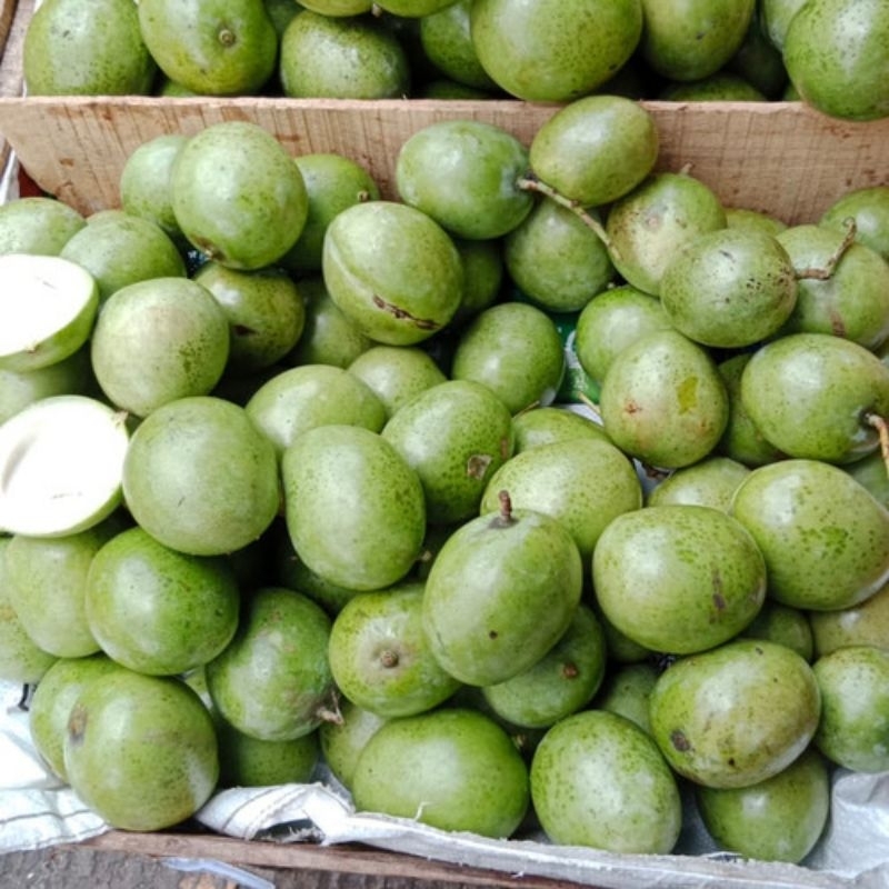 Jual ARFB Mangga Telor Muda Mangga Rujak Asinan Fresh Mentah Segar ...