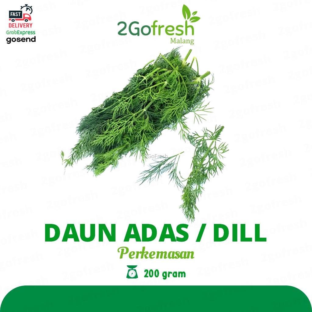 Jual Daun Adas / Daun Dill Fresh - Sayuran | Shopee Indonesia