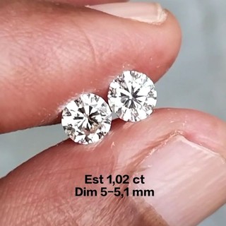 Jual Sepasang Berlian Berat 1,02 Carat Natural Diamond Round Cut ...
