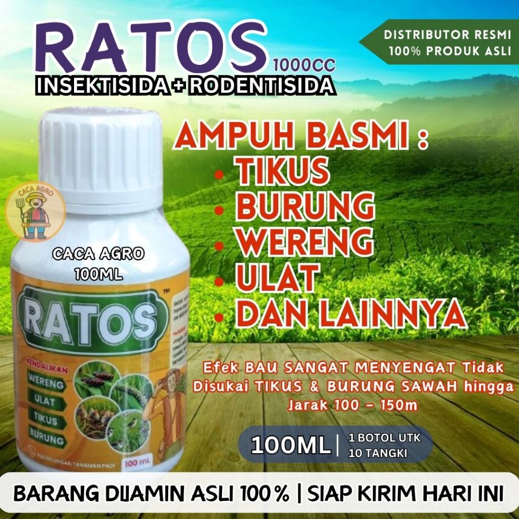 Jual RATOS RODENTISIDA INSEKTISIDA - AHLINYA AHLI DALAM MENGATASI ...