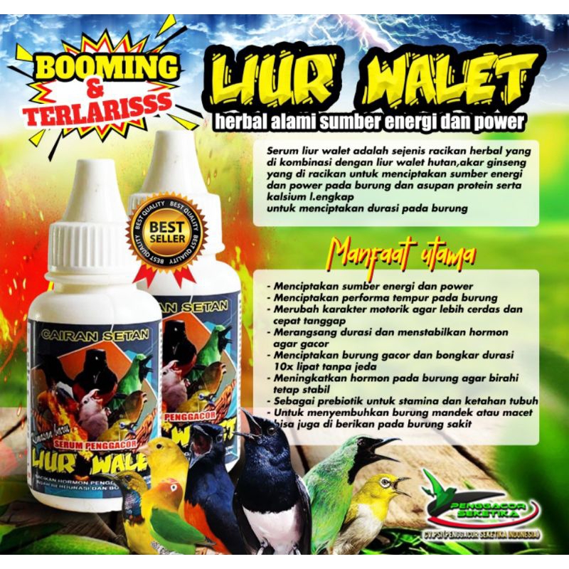 Jual Cairan Setan Liur Walet Vitamin Penggacor Burung Sumber protein ...