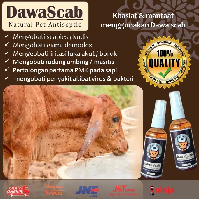 Jual Produk baru DawaScab dapat mengatasi berbagai penyakit kulit pada ...
