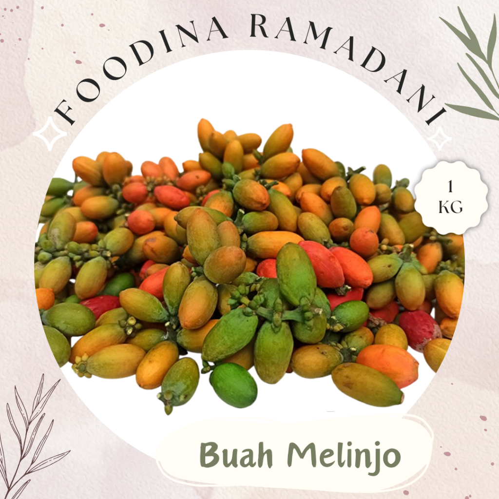 Jual BUAH MELINJO Tangkil Sayur - Melinjo Fruit Fresh [ Berat 1.000gr ...