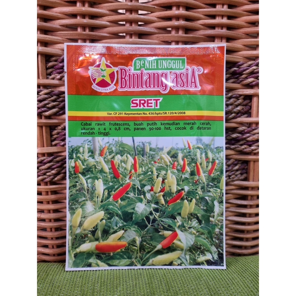 Jual BENIH CABE RAWIT SRET BINTANG ASIA 10 GR BIBIT CABAI RAWIT KECIL | Shopee Indonesia