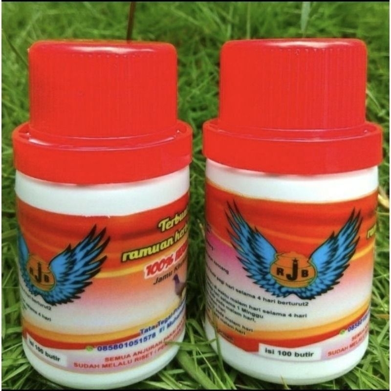 Jual JAMU MERPATI RJB ISI 100 BUTIR | Shopee Indonesia