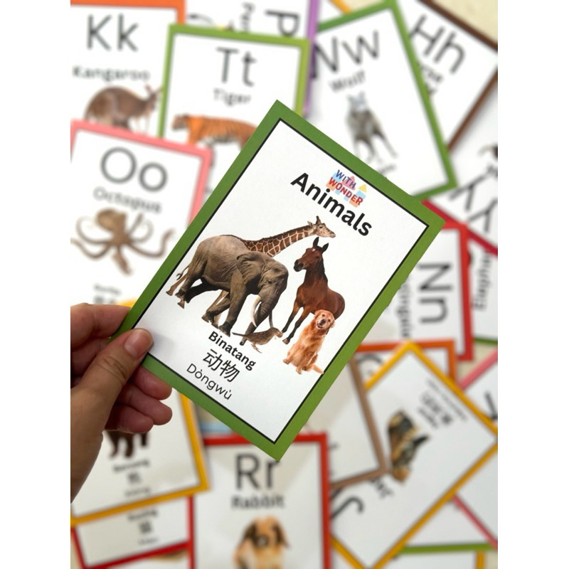 Jual Flash Card Anak Animal Binatang Hewan Abjad Trilingual Indonesia ...