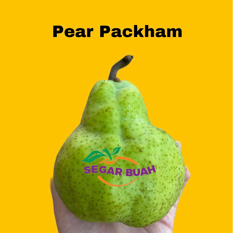 Jual Pir Jambu / Pear Packham 500 gr / 1000 gr (1 kg) | Shopee Indonesia