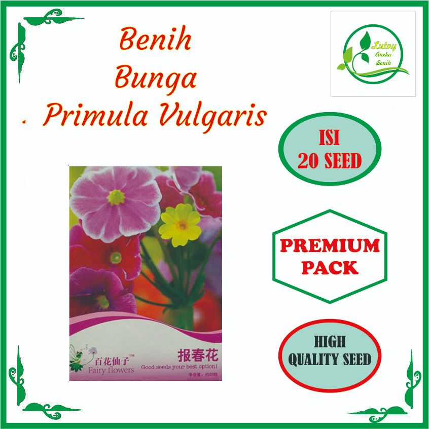 Jual BENIH BUNGA PRIMULA VULGARIS ISI 20 SEED (PREMIUM PACK) | Shopee ...