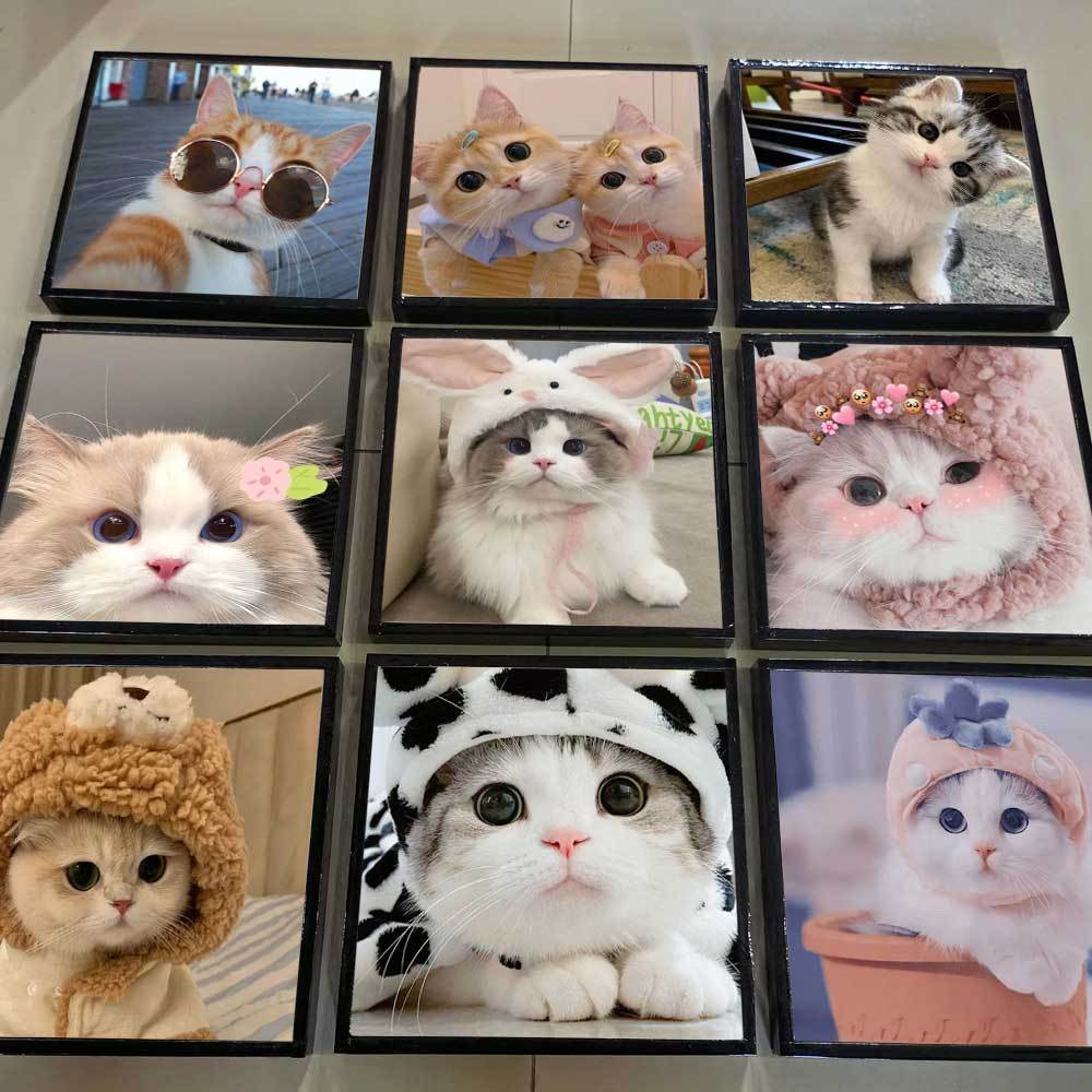 Jual Cetak Foto Kucing Kesayangan + Foto Frame Block Hiasan Dinding ...