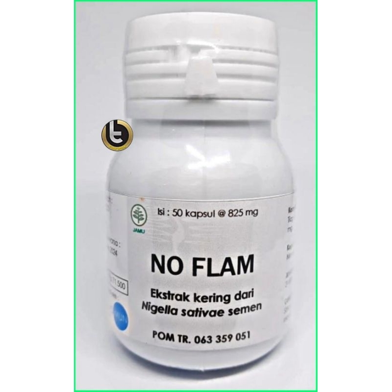 Jual No Flam ( Obat Herbal ) untuk Daya Tahan Tubuh, Vitalitas, Obat ...