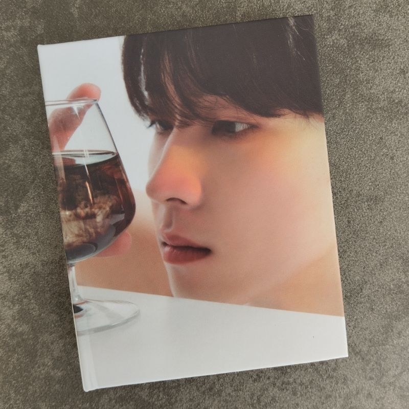 Jual SEVENTEEN WONWOO PHOTOCARD ALBUM DREAM VERSION OFFICIAL | Shopee ...