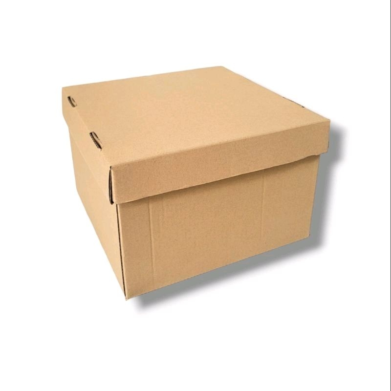 Jual Box 30x30x20 cm (Set Top/Bot Heebe) Kardus/Karton/Paking/Polos ...