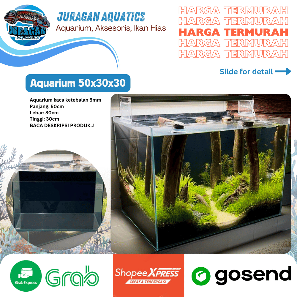 Jual Aquarium Kaca 50x30x30 - Akuarium Ukuran 50x30x30 - Akuarium Kaca ...