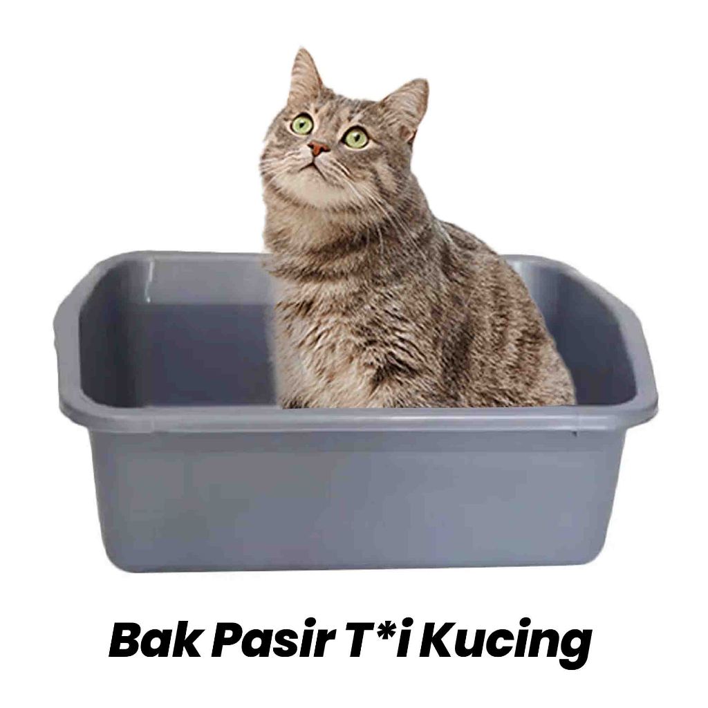 Jual BAK Hidroponik / Bak Tahu Kotak Multifungsi / Tempat Tahu Plastik ...