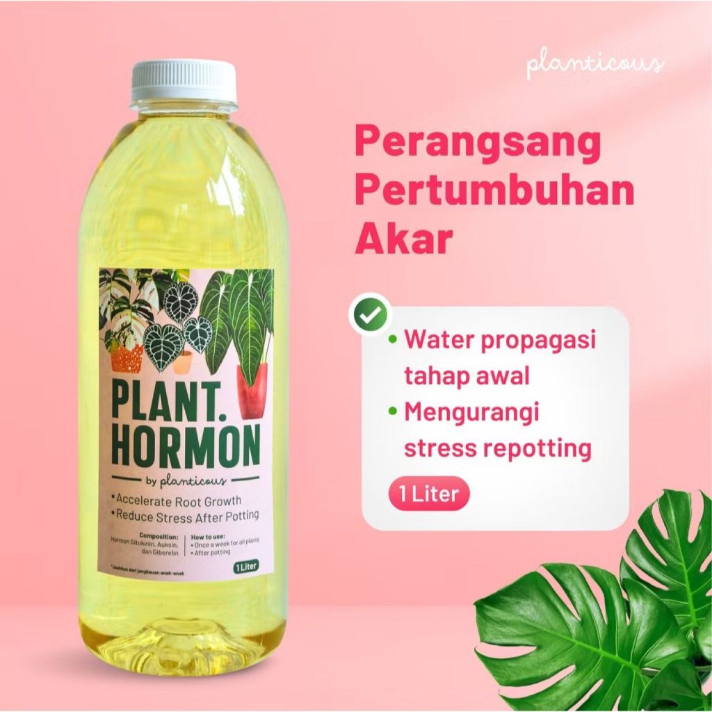 Jual Plant Hormon Hormon Tanaman 1 Liter | Shopee Indonesia