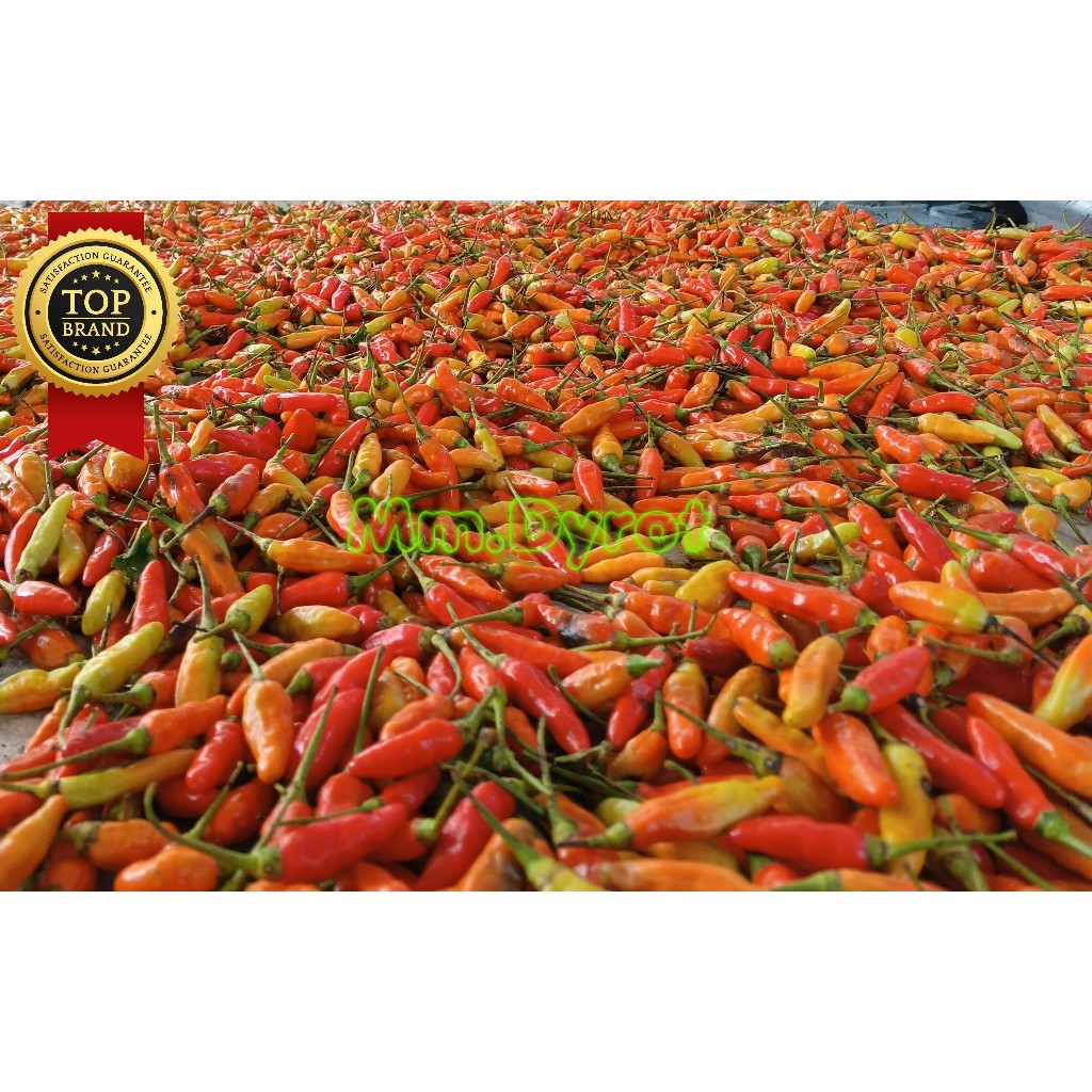 Jual [ Area Pulau Jawa ] Cabe rawit merah 1kg / Cabai rawit merah ...