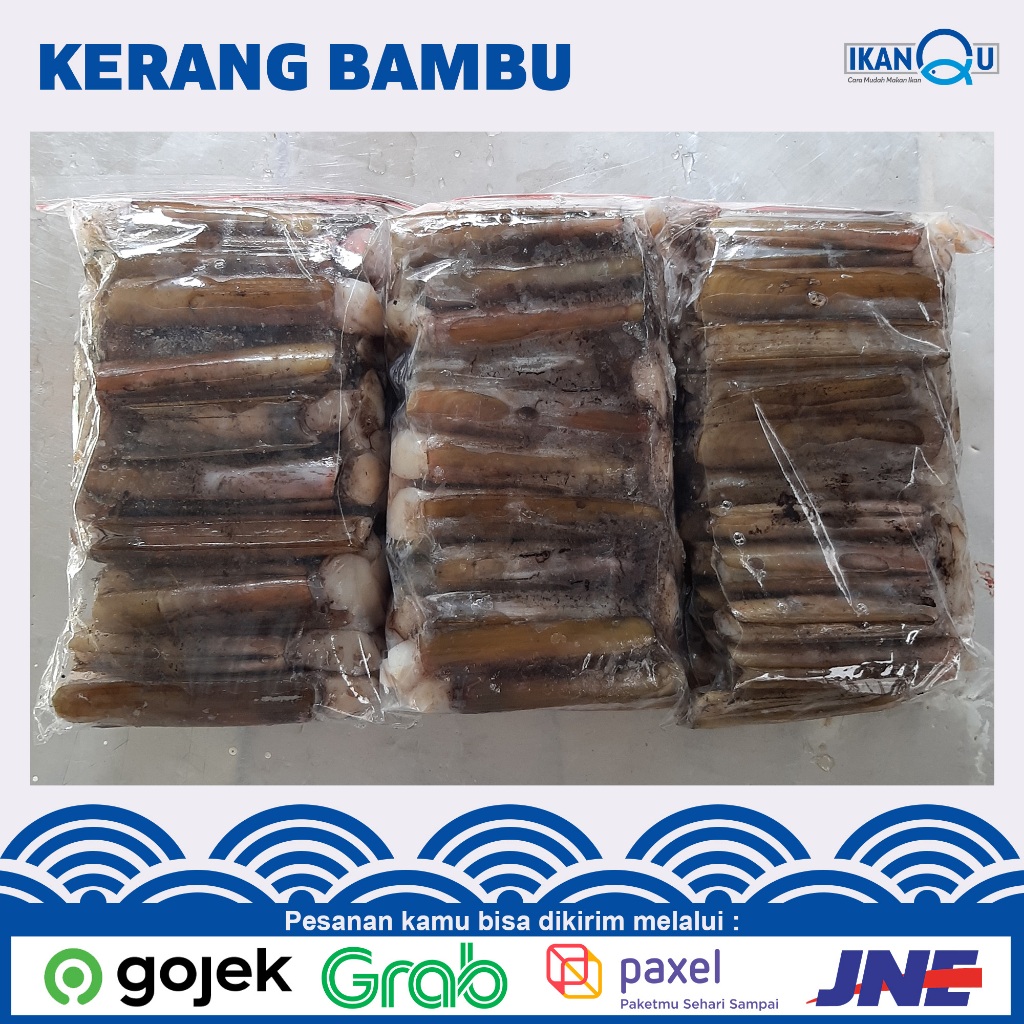 Jual KERANG BAMBU Seafood besar (1Kg)/Kerang bambu segar/Kerang bambu ...